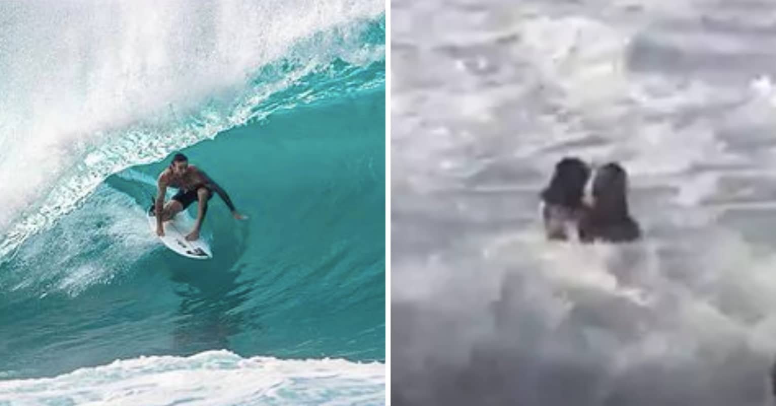 Surfer Saves Drowning Beachgoer Who Was Pulled Out To Sea In Hawaii