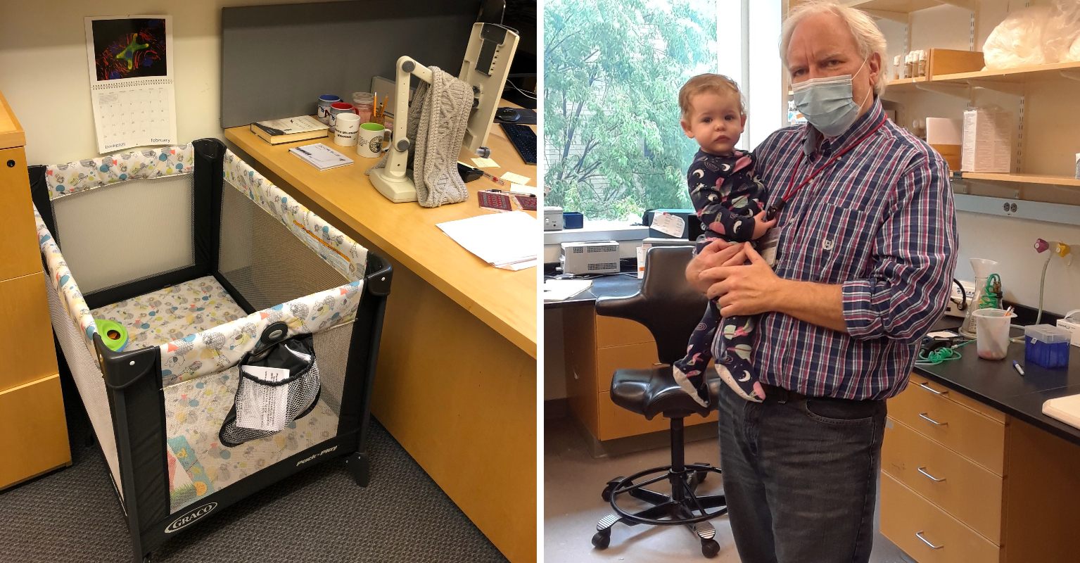 Professor Praised For Putting Crib In Office So Student Can Work ...