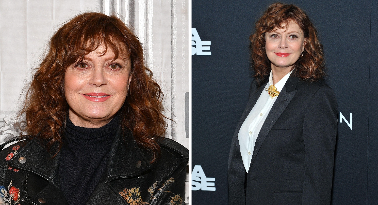 Susan Sarandon, 74, Hopes To Find A Male Or Female Partner 'Up For An ...