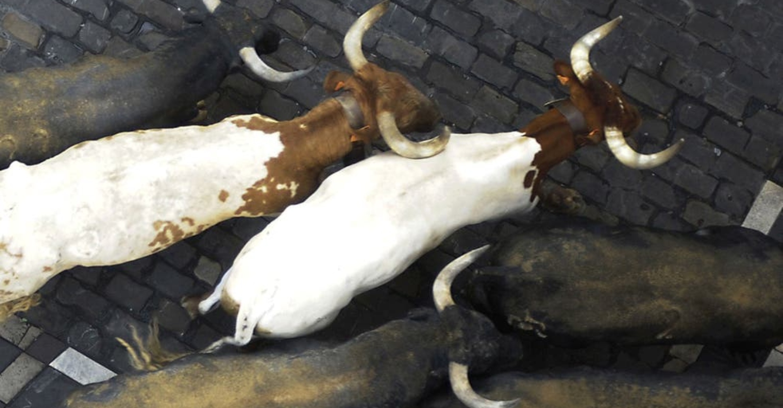 Man, 55, Dies After Being Gored By Bull At Running Festival In Spain