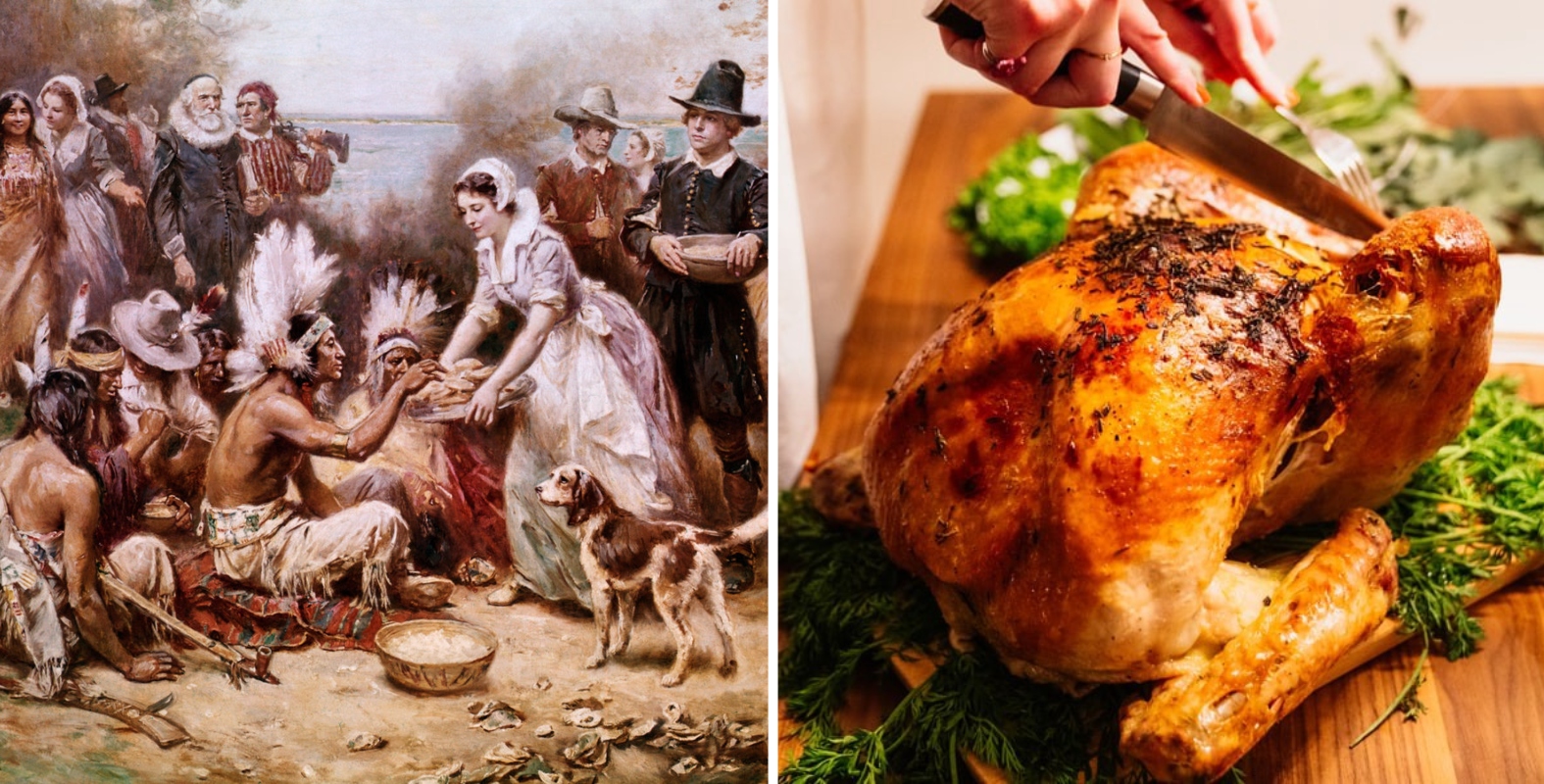 The Myth Of The Thanksgiving Story Hides America's Brutal And Bloody ...