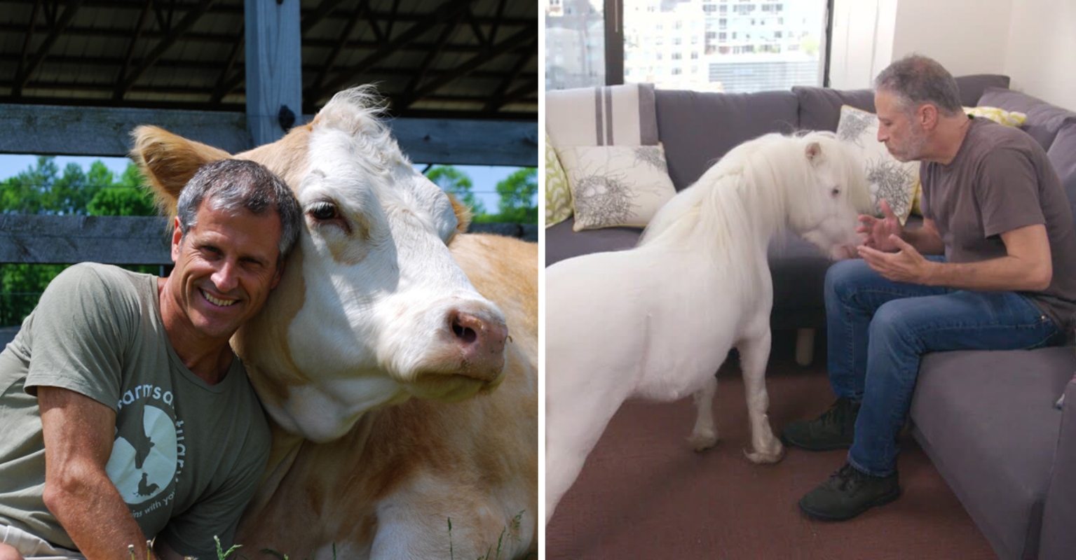 Jon Stewart's Beautiful 12-Acre Farm Is Now A Safe Haven For Abused Animals
