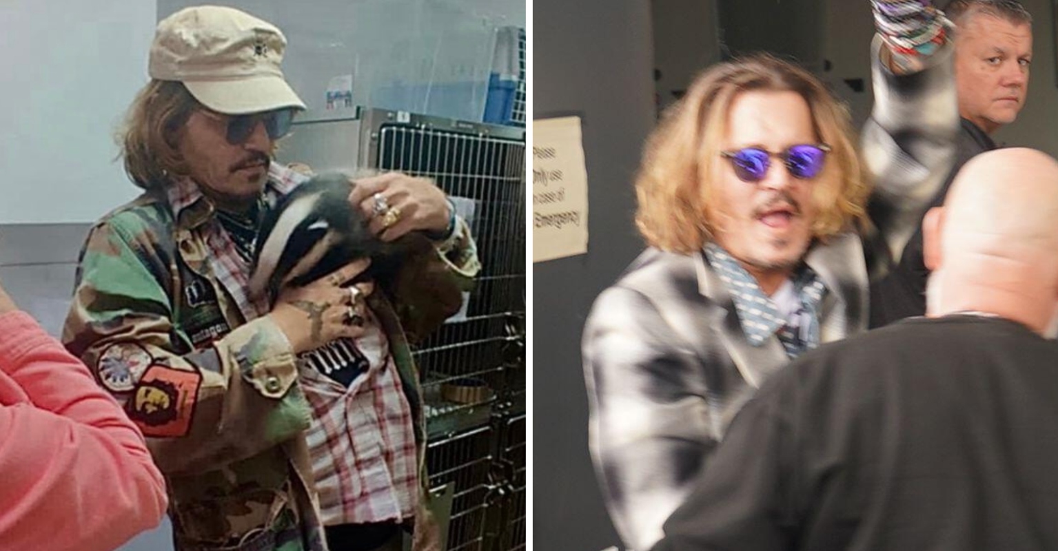 Johnny Depp Cuddles Orphaned Badger Following Defamation Trial Win