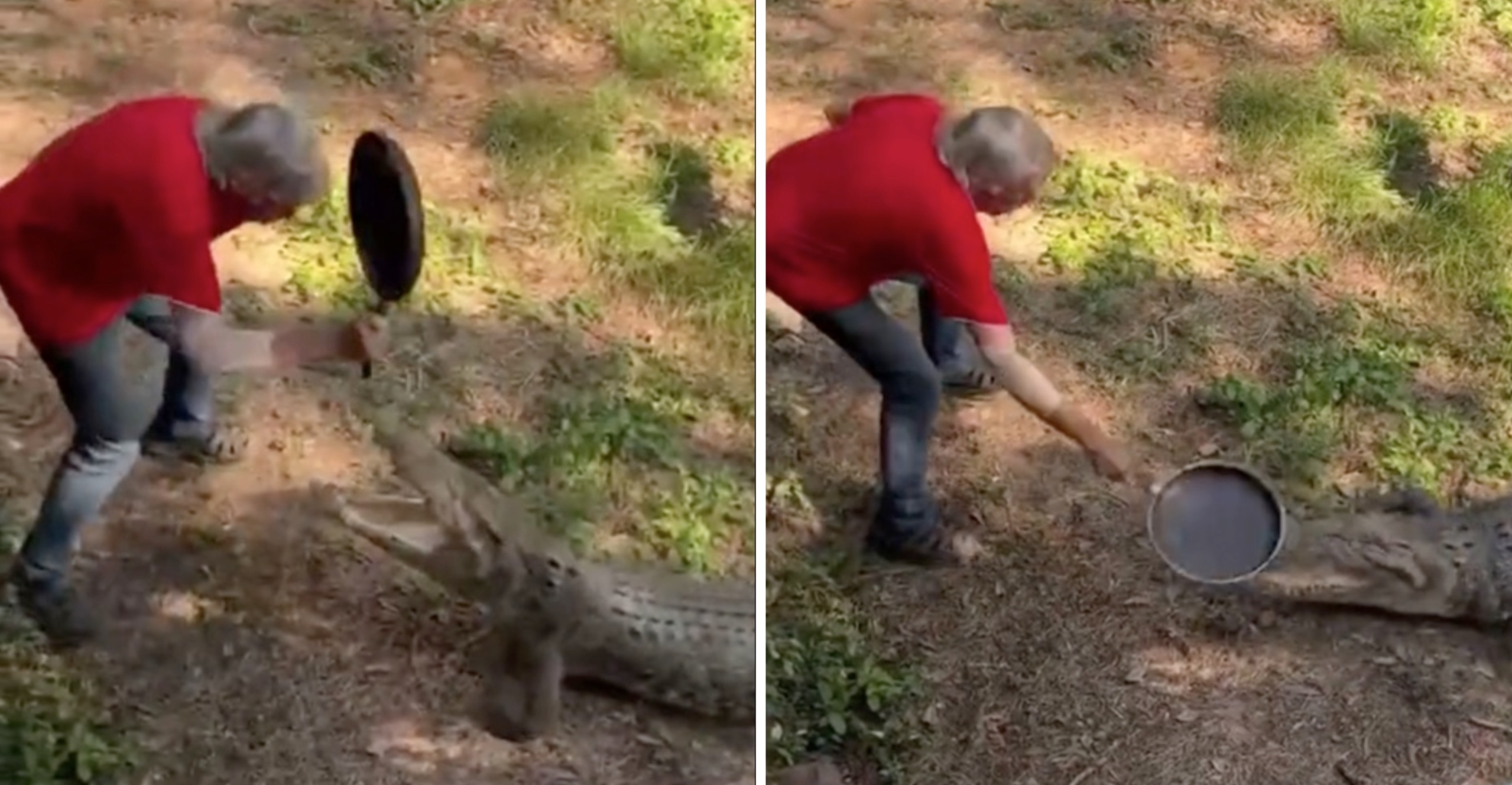 Man Fights Off Huge Crocodile With A Frying Pan