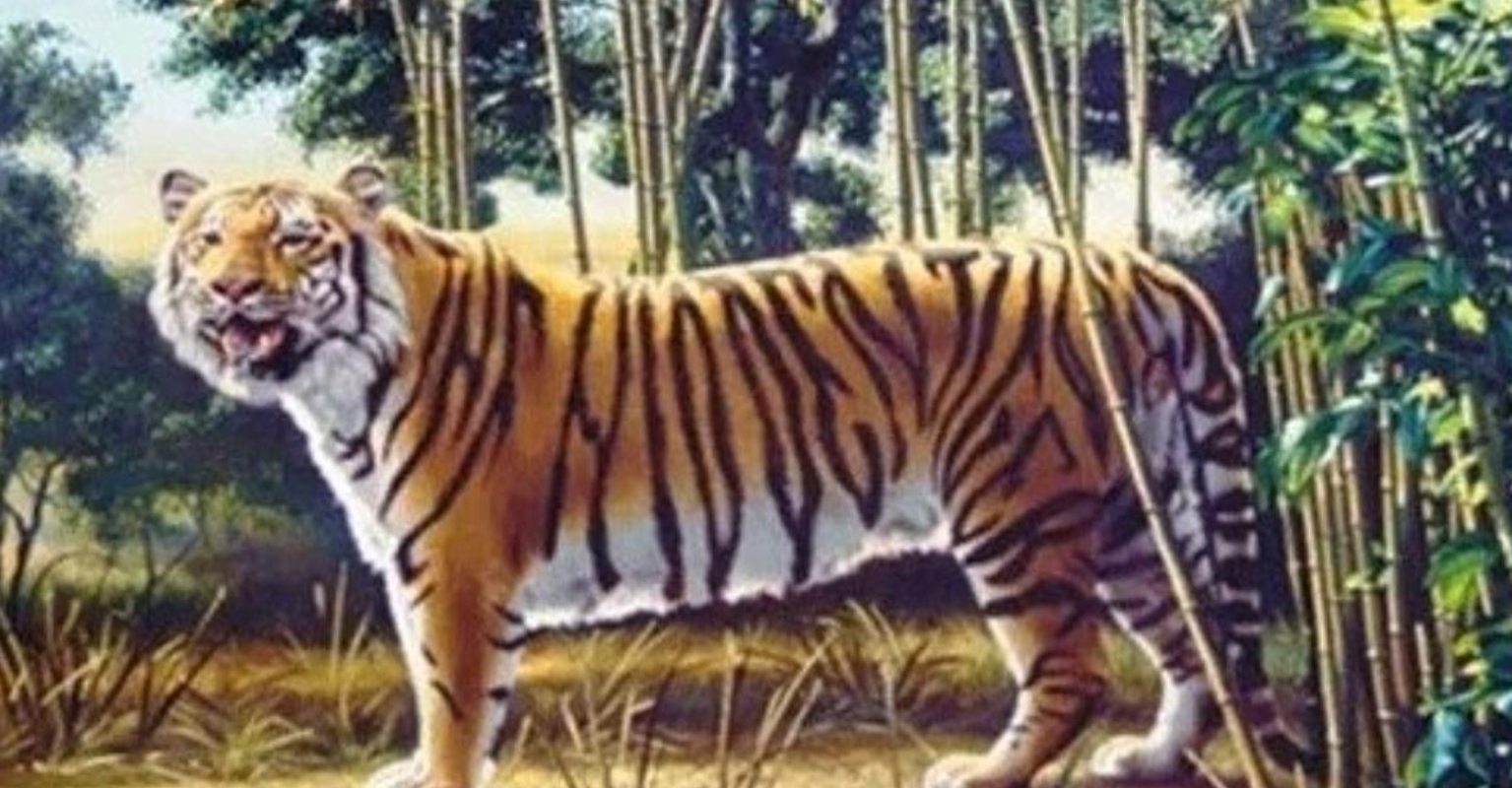 Social Media Users Are Challenging Each Other To Spot The Hidden Tiger ...