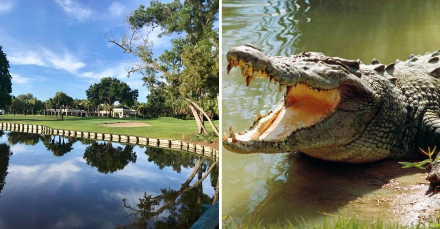 Florida Woman Killed By Alligators After Falling Into Country Club Pond