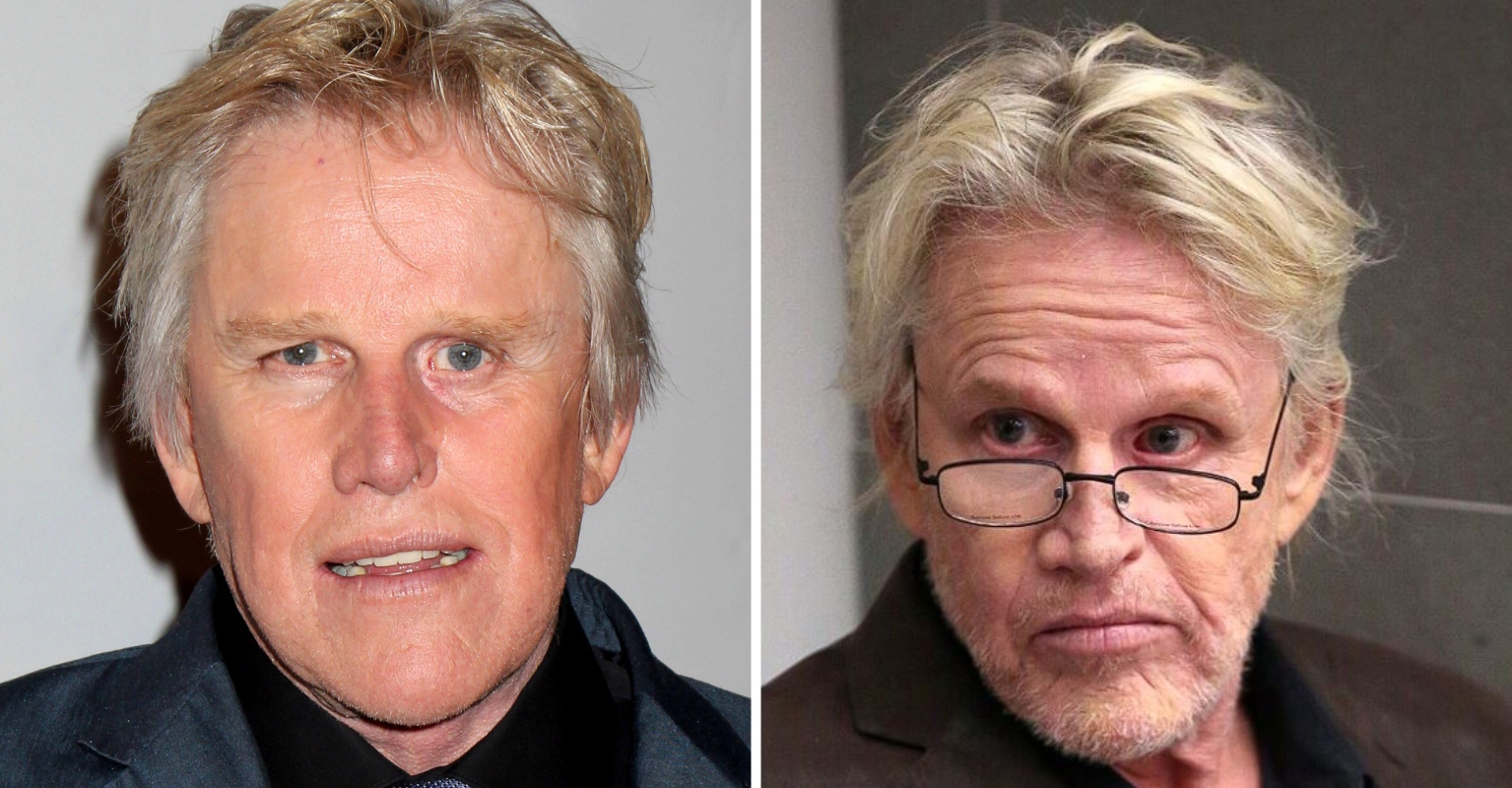 Gary Busey Charged With Sexual Offenses During Horror Movie Convention