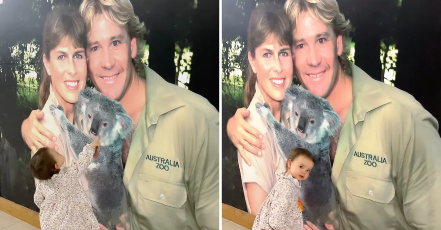 Bindi Irwin Shares Video Of Daughter Waving At Picture Of 'Grandad ...