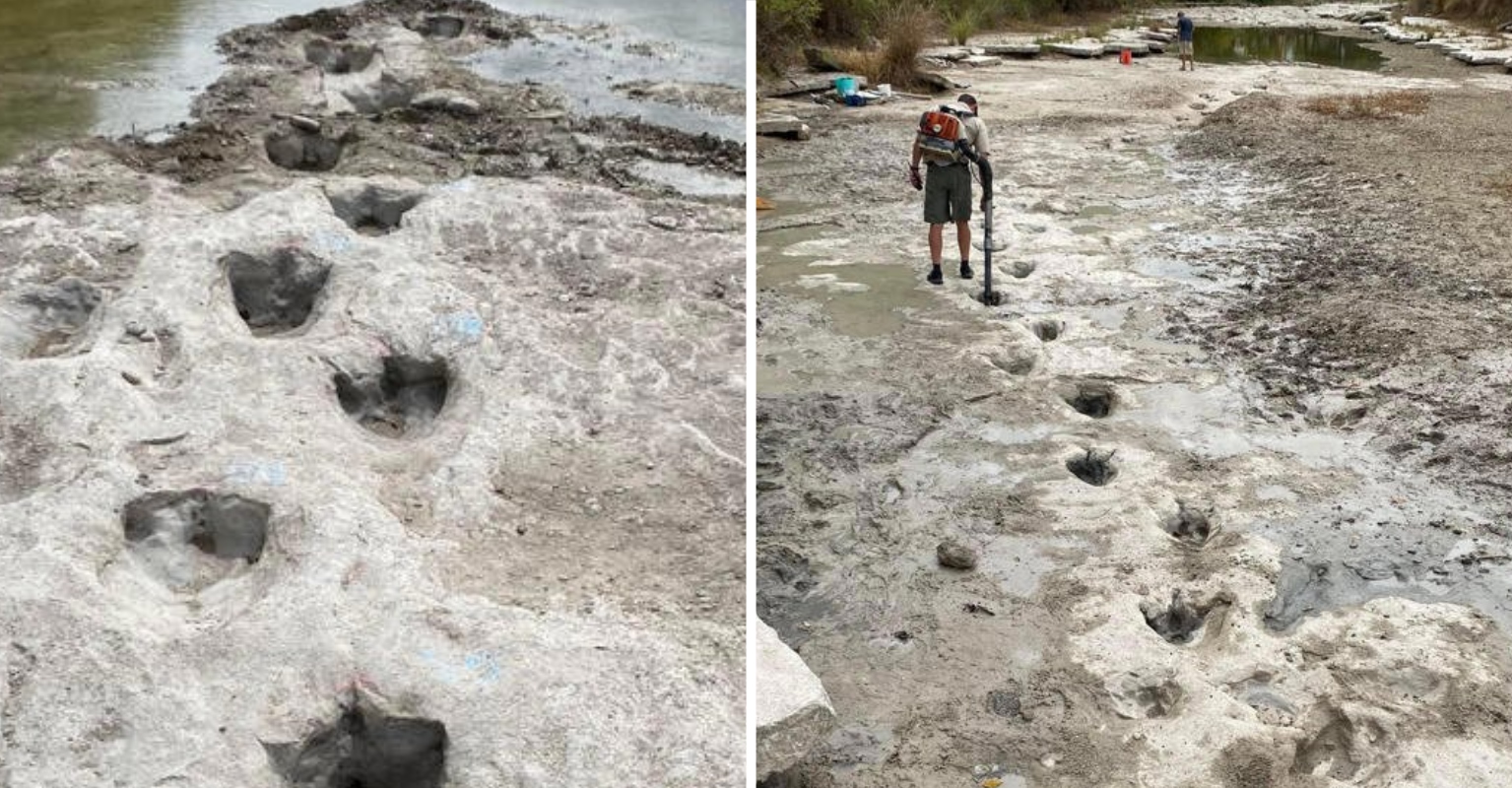 113 Million-Year-Old Dinosaur Footprints Uncovered In Texas Thanks To ...