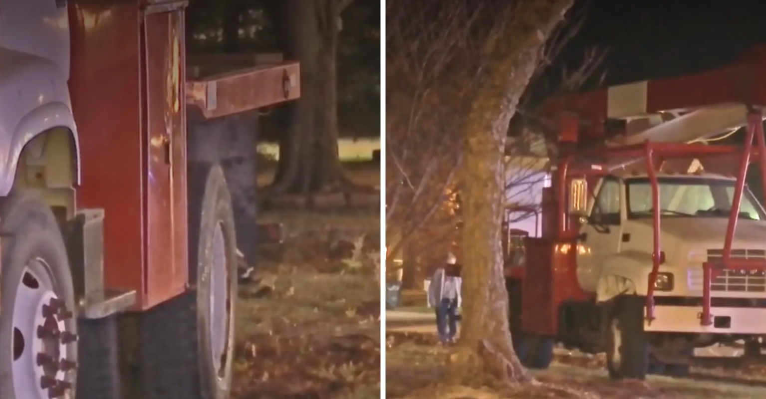 Tree Trimmer Dies After Falling Into Wood Chipper