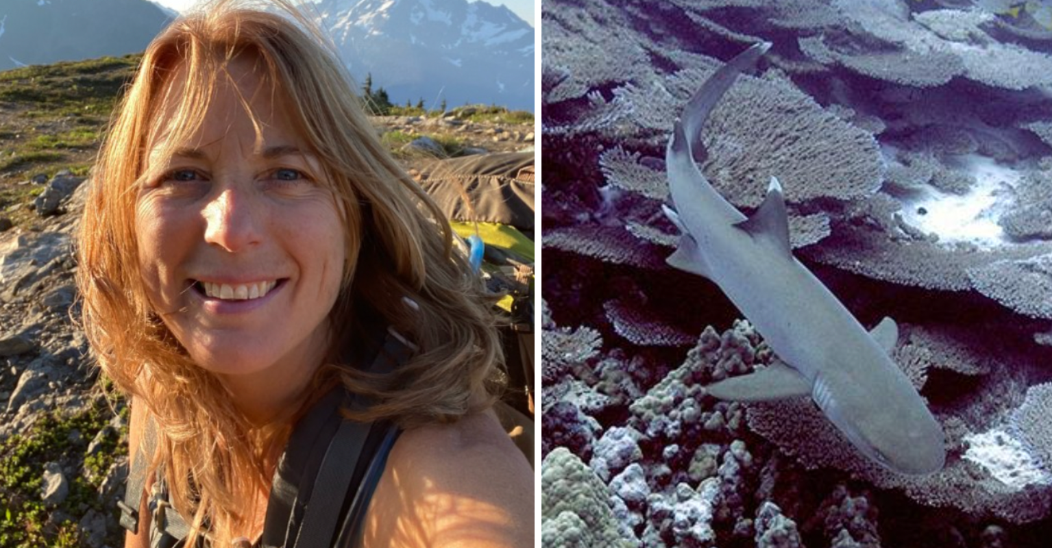 Woman, 60, Likely ‘Eaten By Aggressive Shark’ While Learning How To Surf