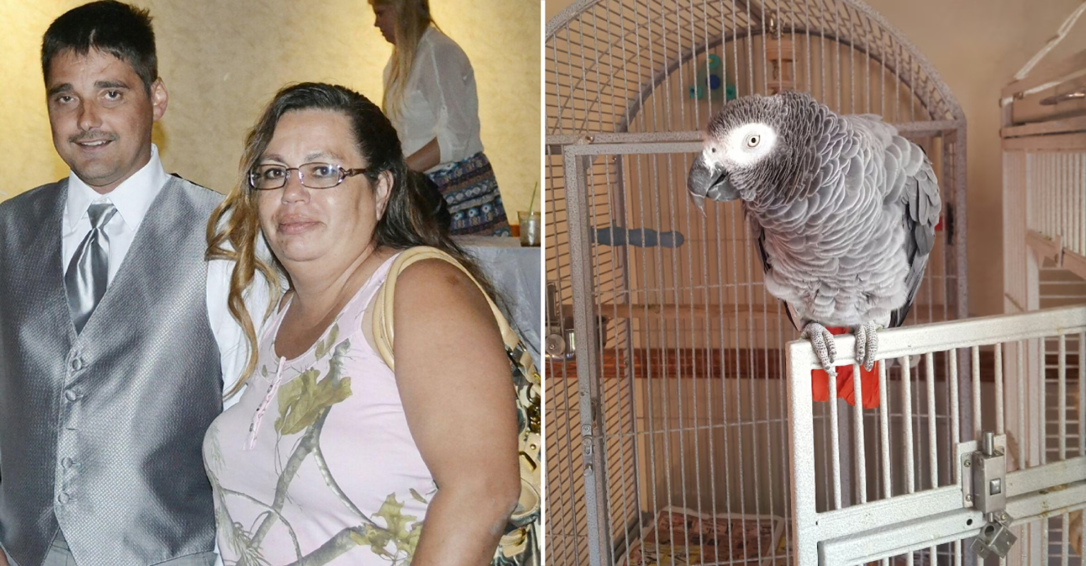 Man's Pet Parrot Kept Repeating His Chilling 'Last Words' After ...