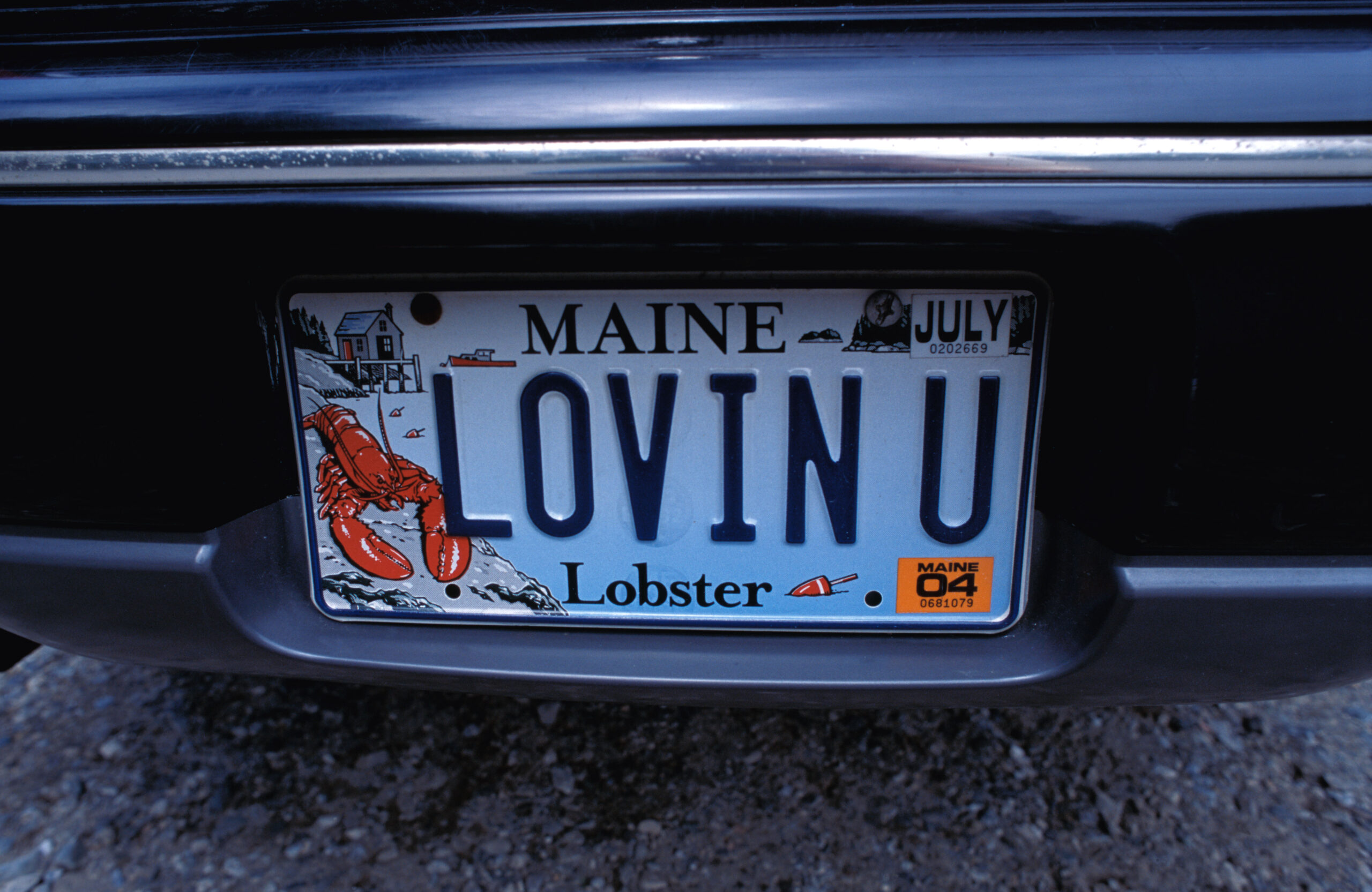 Vegan Driver's License Plate Recalled After State Officials Deem It Too ...