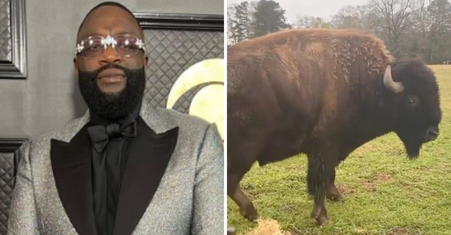 Rick Ross's Neighbor Fumes As His 2000lb Buffaloes Keep Visiting Their Yard