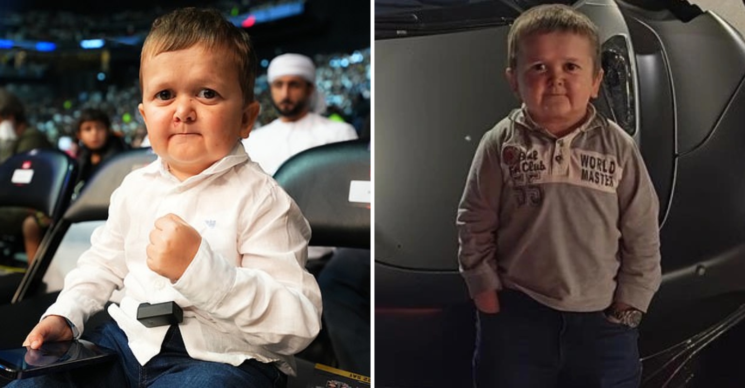 UFC Star Hasbulla, 20, Apologizes After He Is 'Arrested'