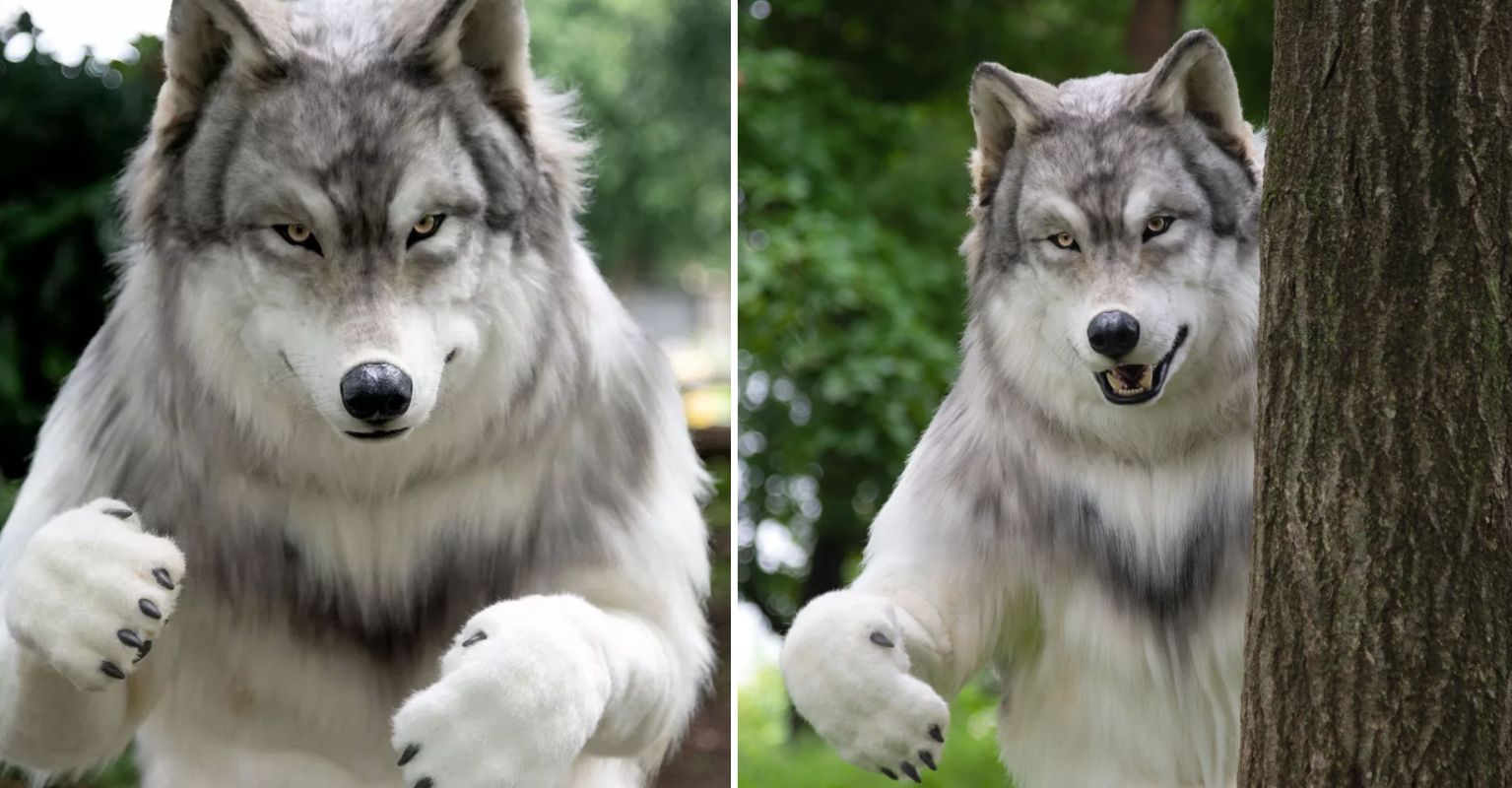 Man Who Spent $23,000 To 'Become A Wolf' Says 'I Am Not A Monster'