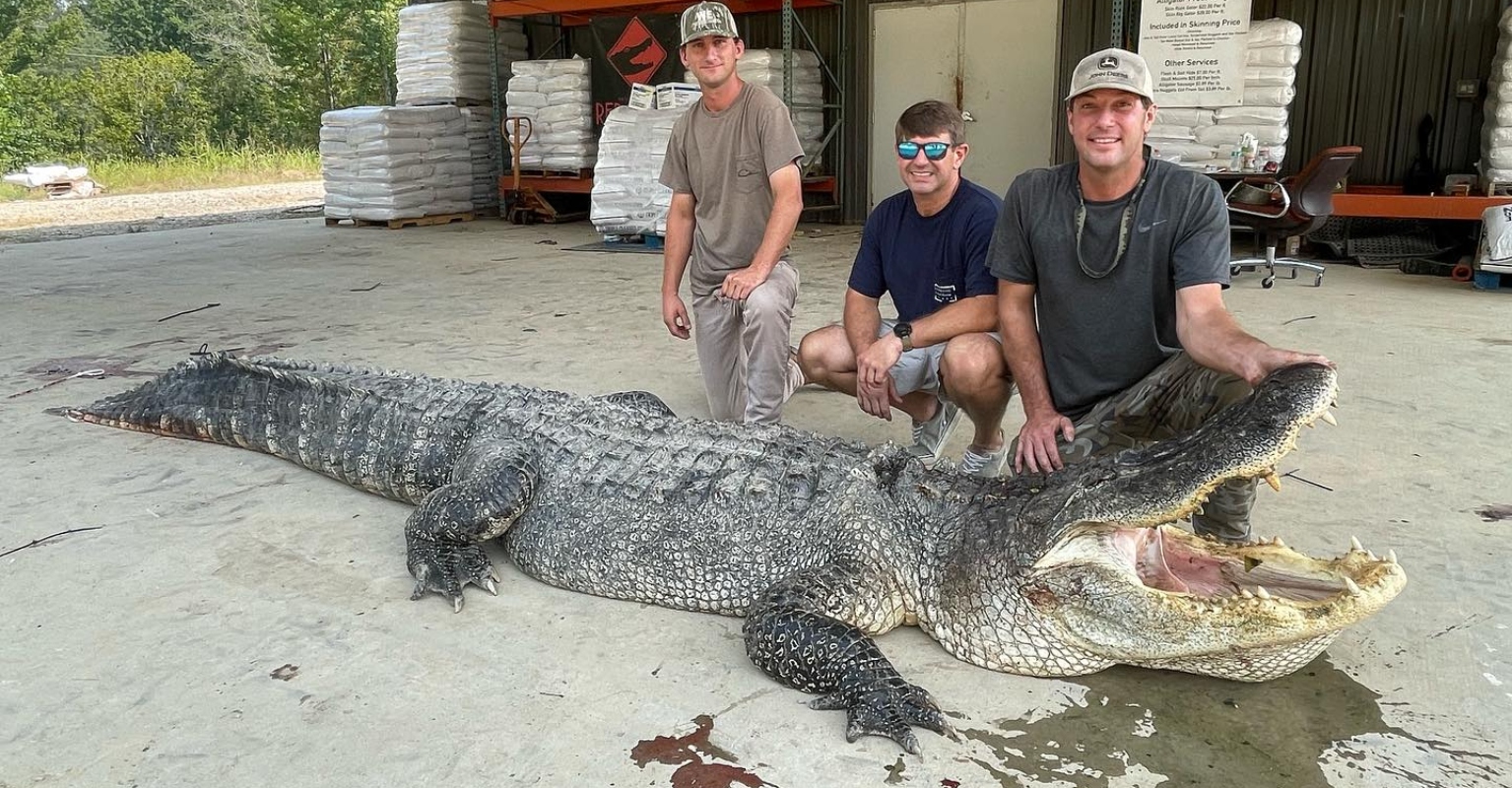 'Nightmare' 14ft Alligator Caught In Mississippi Smashes Records