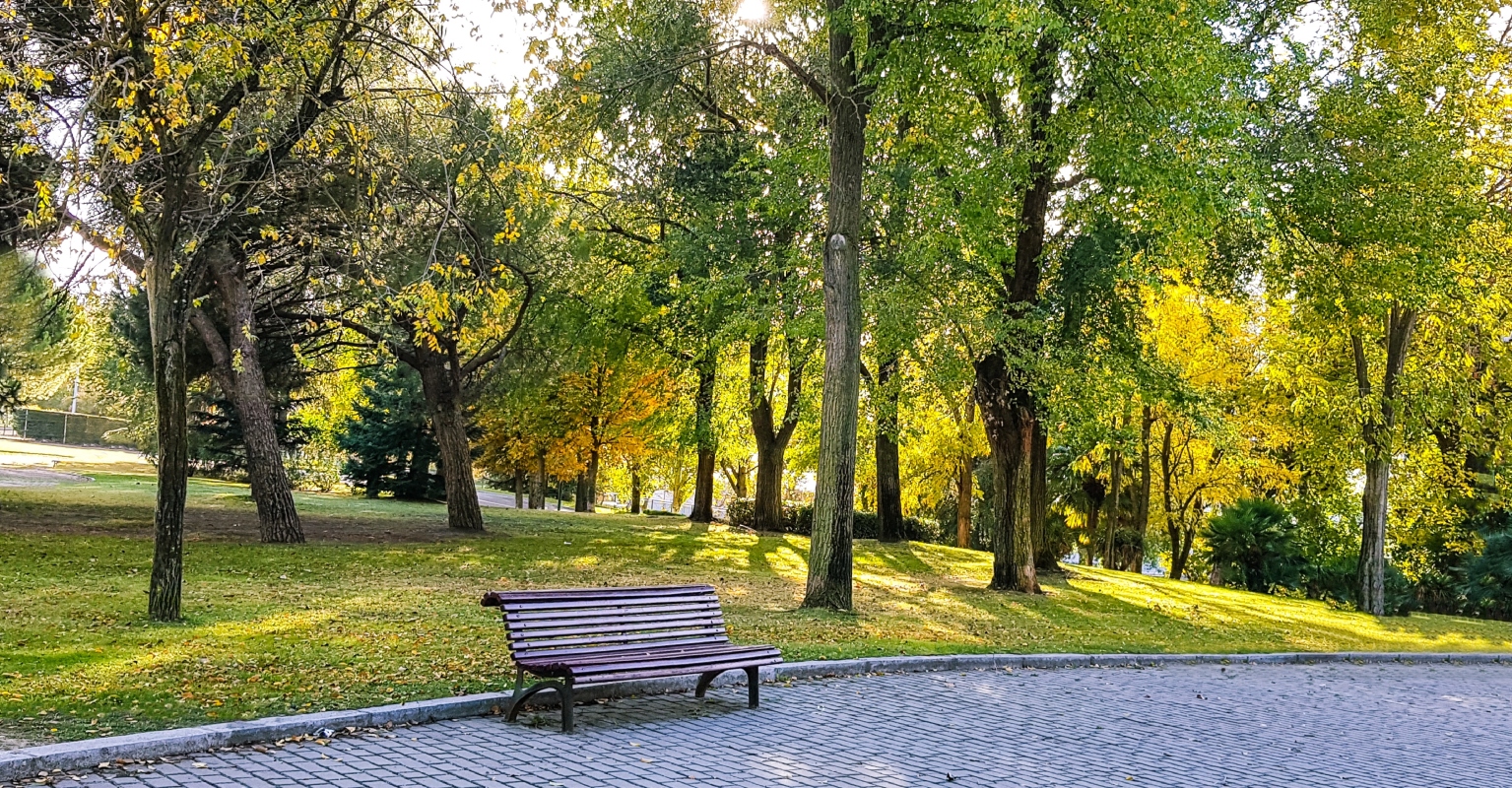 Influencer Filming A Livestream Asks Man To Move From Park Bench - His ...