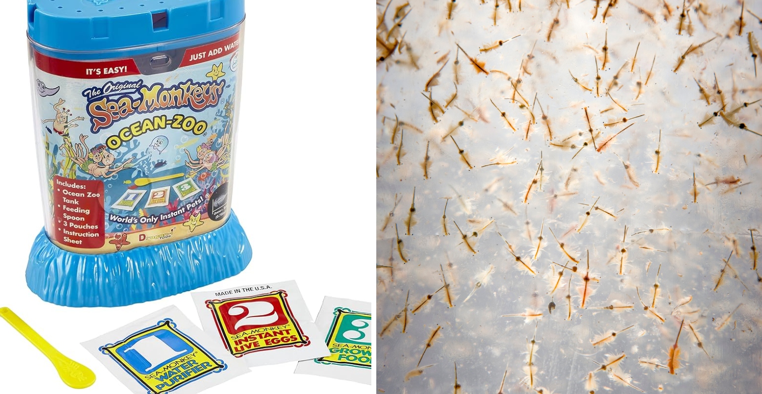 People Are Just Learning The Dark Truth Behind Childhood Staple Sea ...