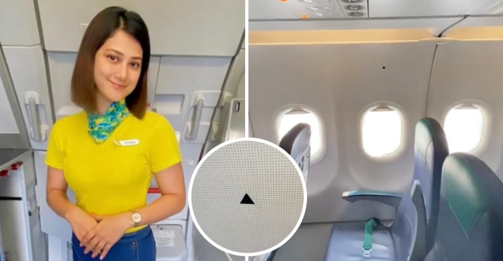 Flight Attendant Reveals The Truth Behind The Black Triangle Stickers ...